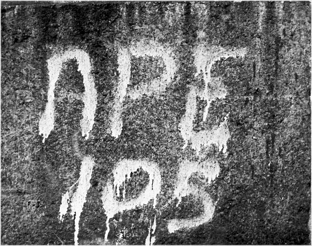 Graffiti-NYC Tags – Black and White Street Photographs of New York City ...