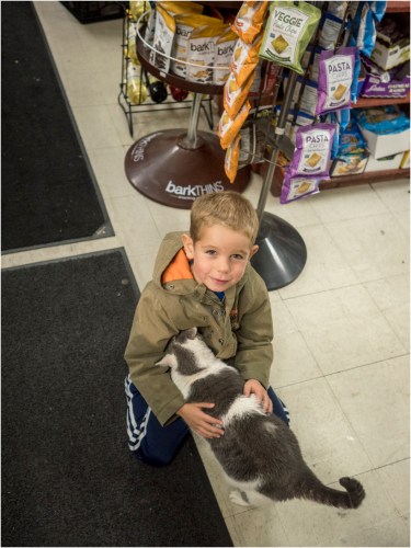 Deli Cat Schmooshing Young Boy – Black and White Street Photographs of ...